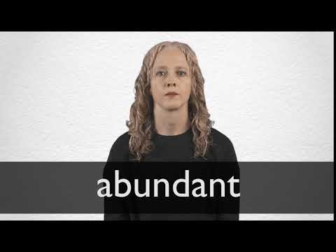 ABUNDANT definition and meaning | Collins English Dictionary