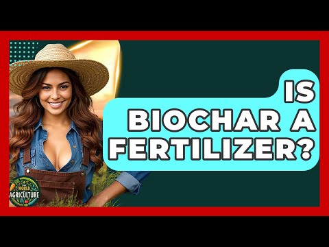 Is Biochar A Fertilizer? - The World of Agriculture