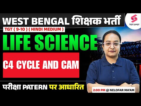 WBSSC SLST 2025 | WBSSC SLST Life Science Classes 2025 | C4 cycle and CAM By Nelofar Mam