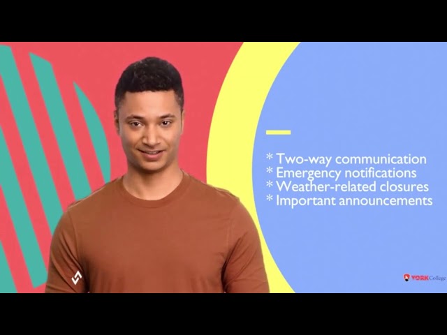 Information Technology