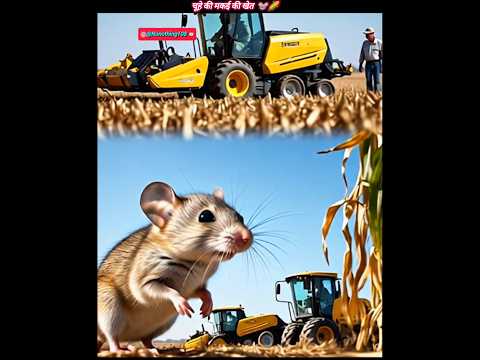 chuha ki makai ke khet 🐭🌽 #aivideo #cartoon #animation #shorts #rat