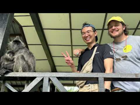Pygmy Elephant Attack - Borneo Trip Travelogue with Jeff