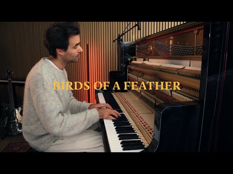 Birds of a Feather - Billie Eilish (Piano Cover) - Leo Nocta