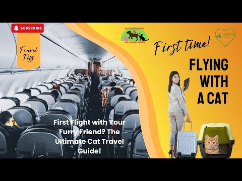 First Flight with Your Furry Friend? The Ultimate Cat Travel Guide!