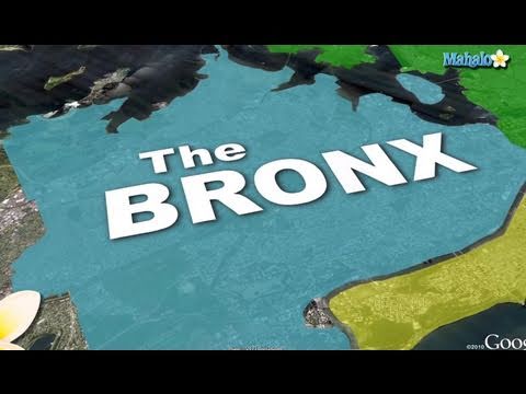 The Bronx - New York City, New York