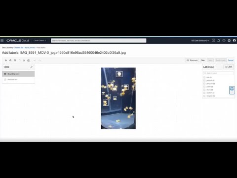 Introducing OCI Data Labeling