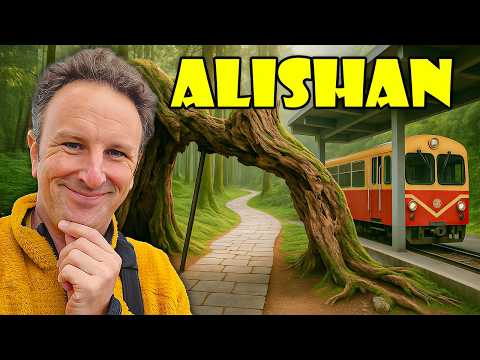 36 Hours in ALISHAN TAIWAN: Misty Forests, Tea, Food & More!
