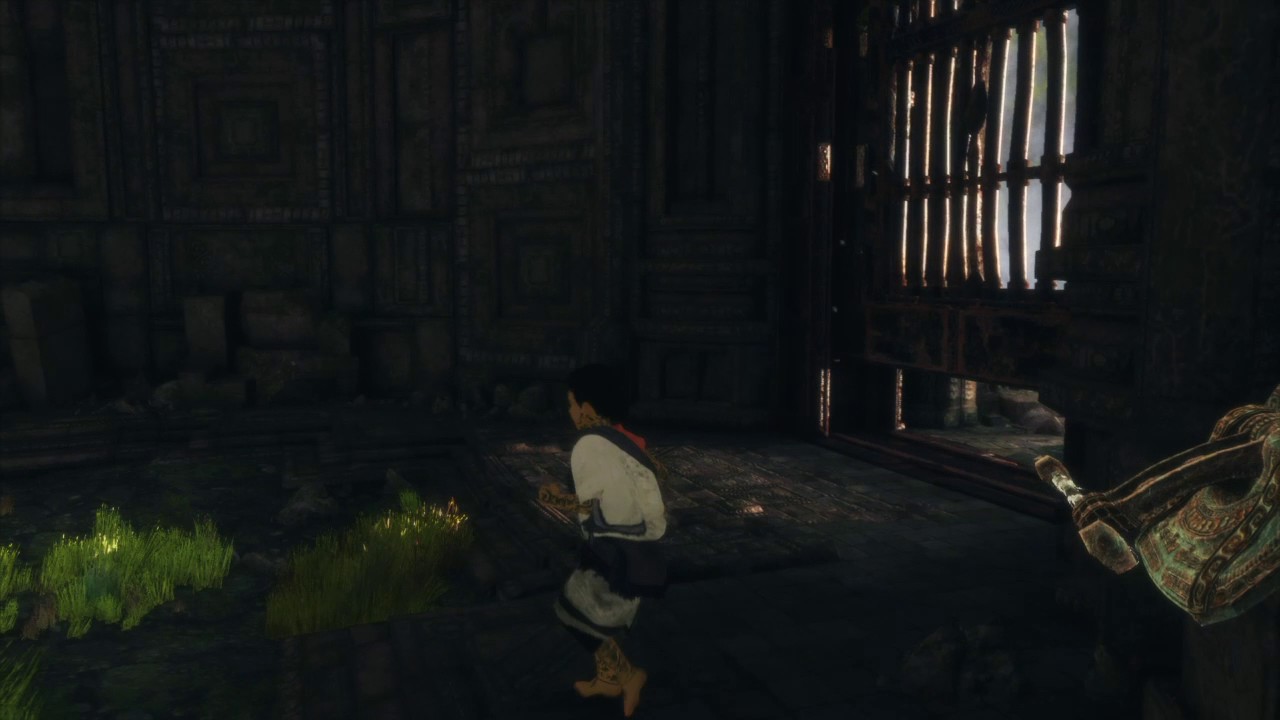 Trico being an asshole