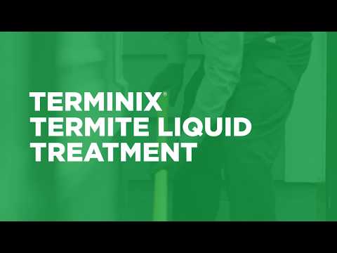 Terminix Termite Liquid Treatment: How Does It Work? | Architure Blog