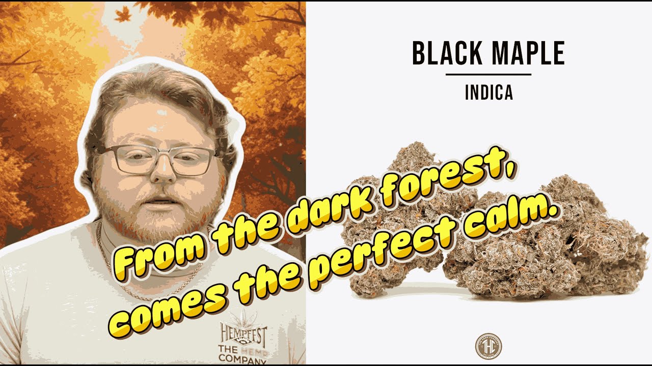 Black Maple Strain Review: Is It Sweet, Savory, or Straight Sedation?