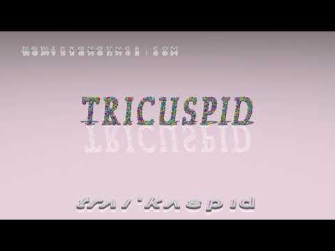 tricuspid - pronunciation in British English (three voices / accents)