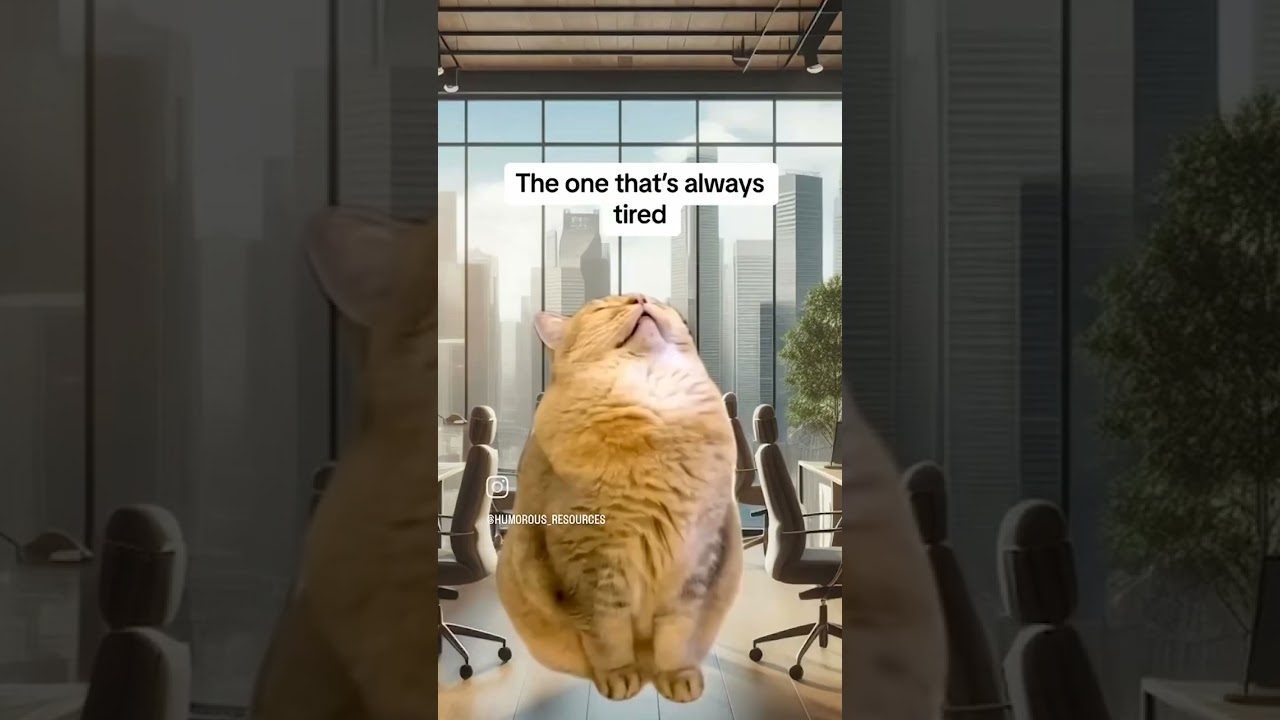 8 types of coworkers 😂 #video #funny #workmemes #memes #work #drama #job #cat #animals