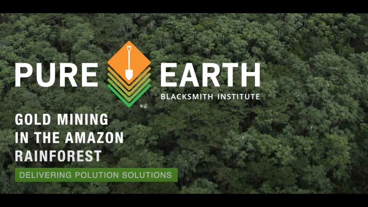 Gold Mining in the Amazon Rainforest: Delivering Pollution Solutions