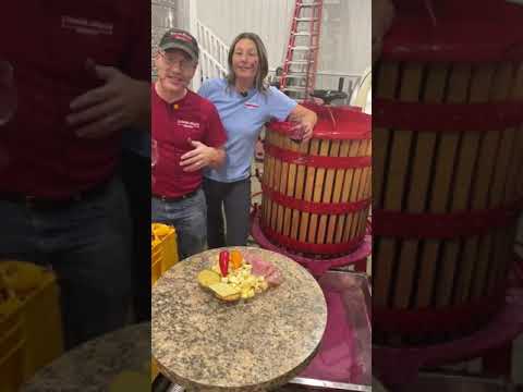 In Vino Veritas #31