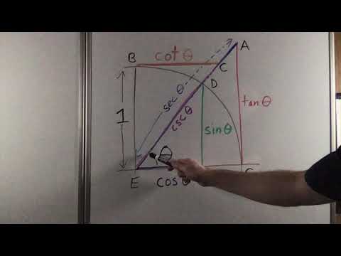 Why do Trig Functions Have Those Names?