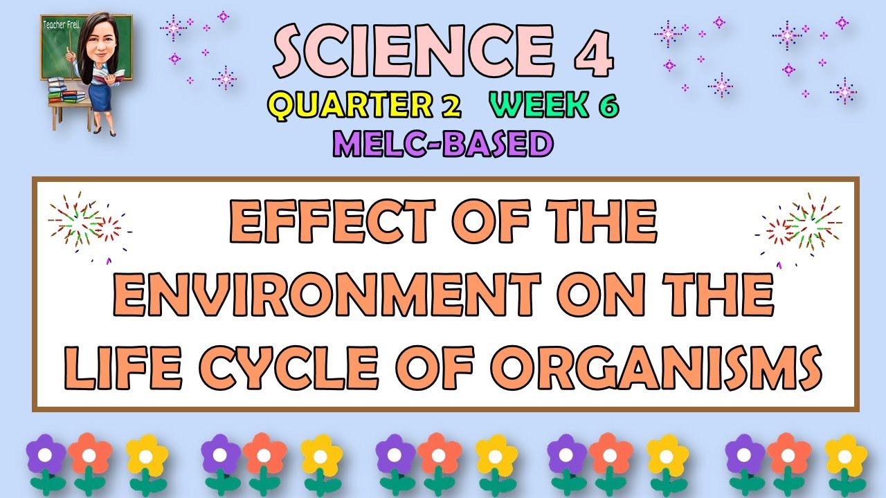 SCIENCE 4 | QUARTER 2 WEEK 6 | EFFECT OF THE ENVIRONMENT ON THE LIFE CYCLE OF ORGANISMS | MELC-BASED
