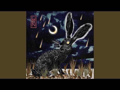 Fox Meets Rabbit