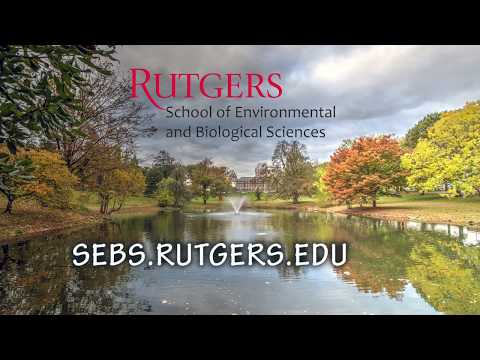 How to Use Rutgers Degree Navigator