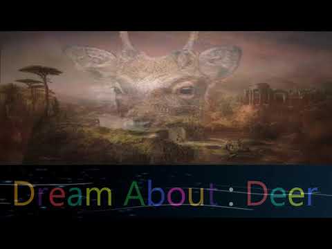The meaning of the dream in which you saw «Deer»