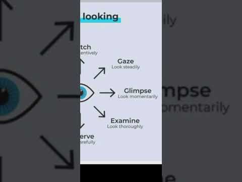 synonymous expressions of look | different ways to say look | languagefy