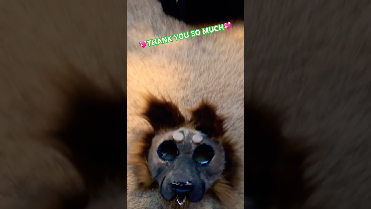Hyena Mask by BronxStudios on Etsy! #therian #unboxing #furry #cosplay
