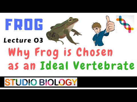 Class 11-Zoology Lectures-Why Frog is taken as animal for studies -1.3