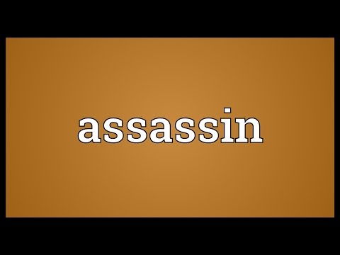 Assassin Meaning