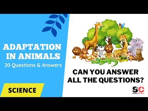 Adaptation in Animals Quiz | 20 Quiz Questions on Adaptation in Animals