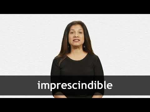 English Translation of “IMPRESCINDIBLE” | Collins Spanish-English ...