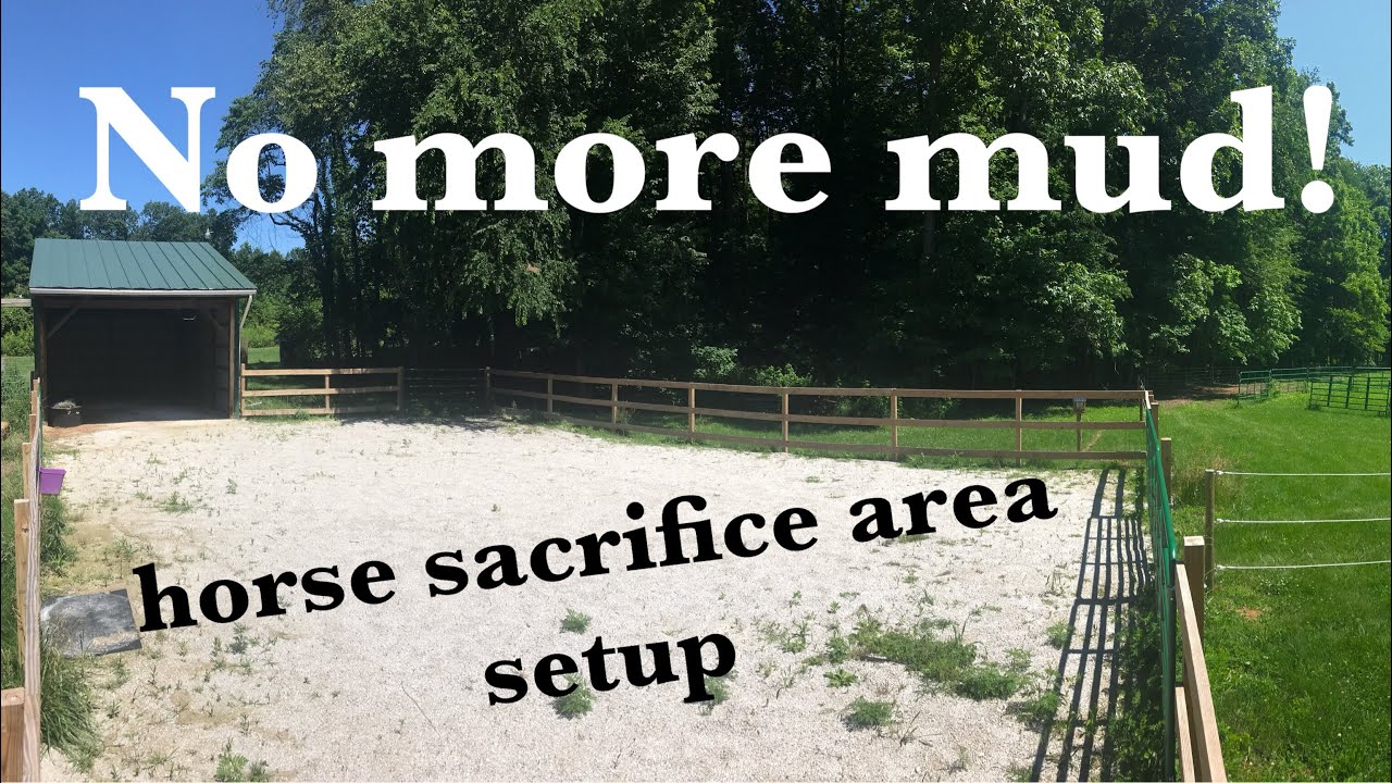 Mud-Free Horse Paddock Set Up