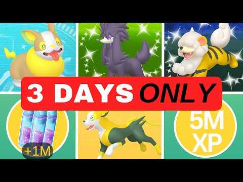How To MAXIMISE The YAMPER Event!