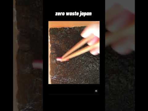 【zero waste. japan】Zero Waste Sushi Roll