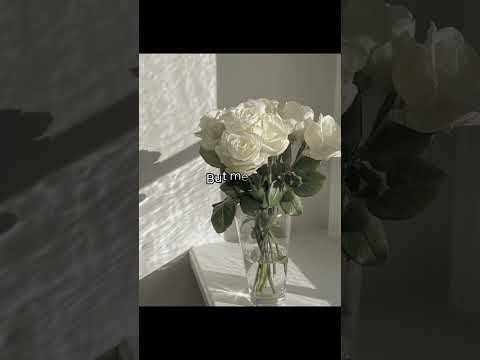 White Roses... 🤍🤍 #whiterose #love #aesthetic #beautiful #shorts #yukio #sweetie