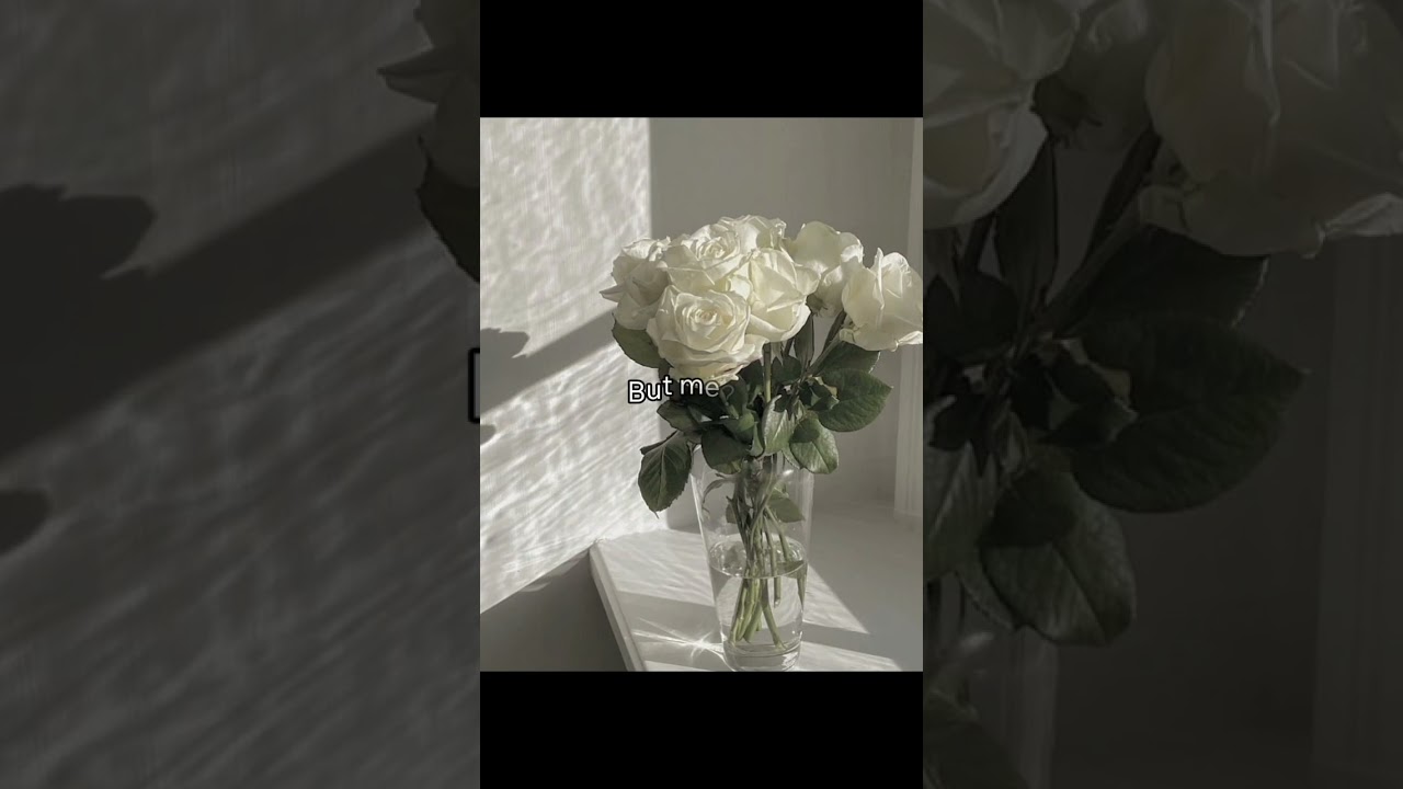 White Roses... 🤍🤍 #whiterose #love #aesthetic #beautiful #shorts #yukio #sweetie