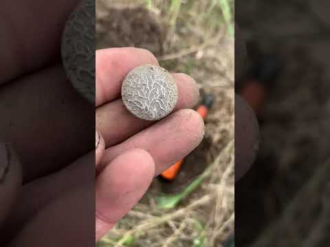 Silver or Pewter button find?
