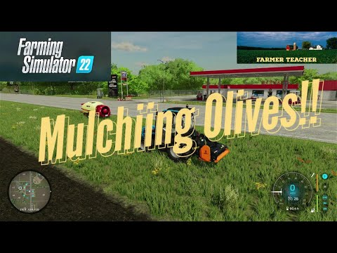 Mulching Olives on Farming Simulator 22!