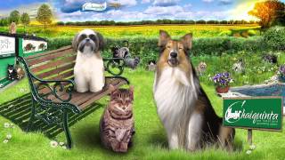 3 Best Boarding Kennels in Doncaster, UK - Expert Recommendations