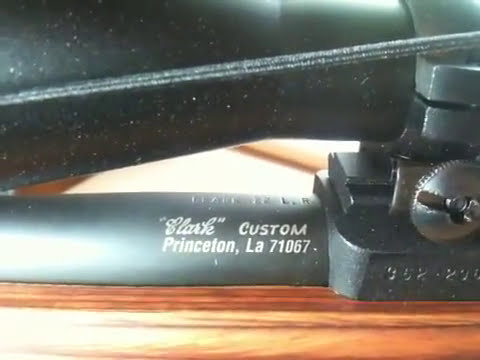 Ruger 10/22, llama.380, tacticalinc. Hichcap mag