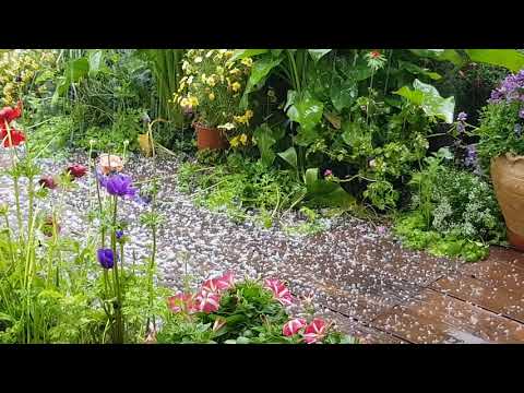 סוער במודיעין - 16/03/2019