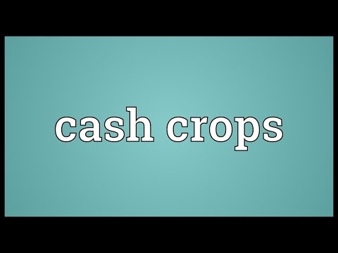 Cash crops Meaning