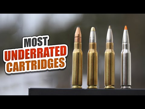 10 Most Underrated Cartridges and Why?