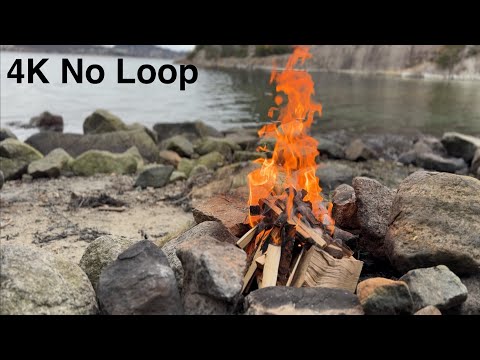 Fireplace Real Campfire 4k No Loop. Real Fire Sound. Fast burning Natural Norwegian Birch Wood Fire