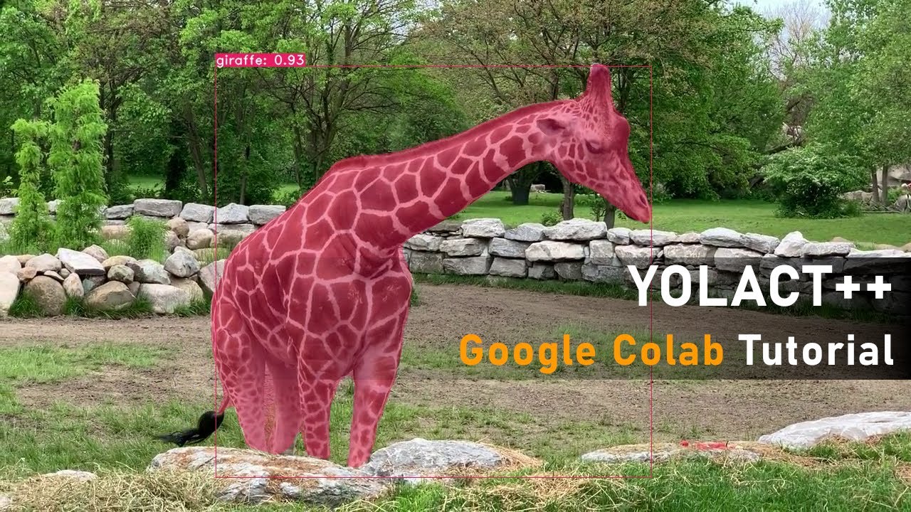 YOLACT++ Instance Segmentation (Google Colab Tutorial)