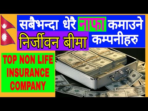 सबैभन्दा धेरै नाफा कमाउने निर्जीवन बीमा कम्पनीहरु|| TOP NON LIFE INSURANCE COMPANY IN NEPAL 2020