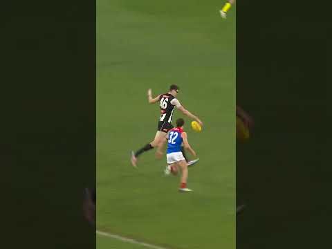 Mason Cox sets the MCG on fire | AFL