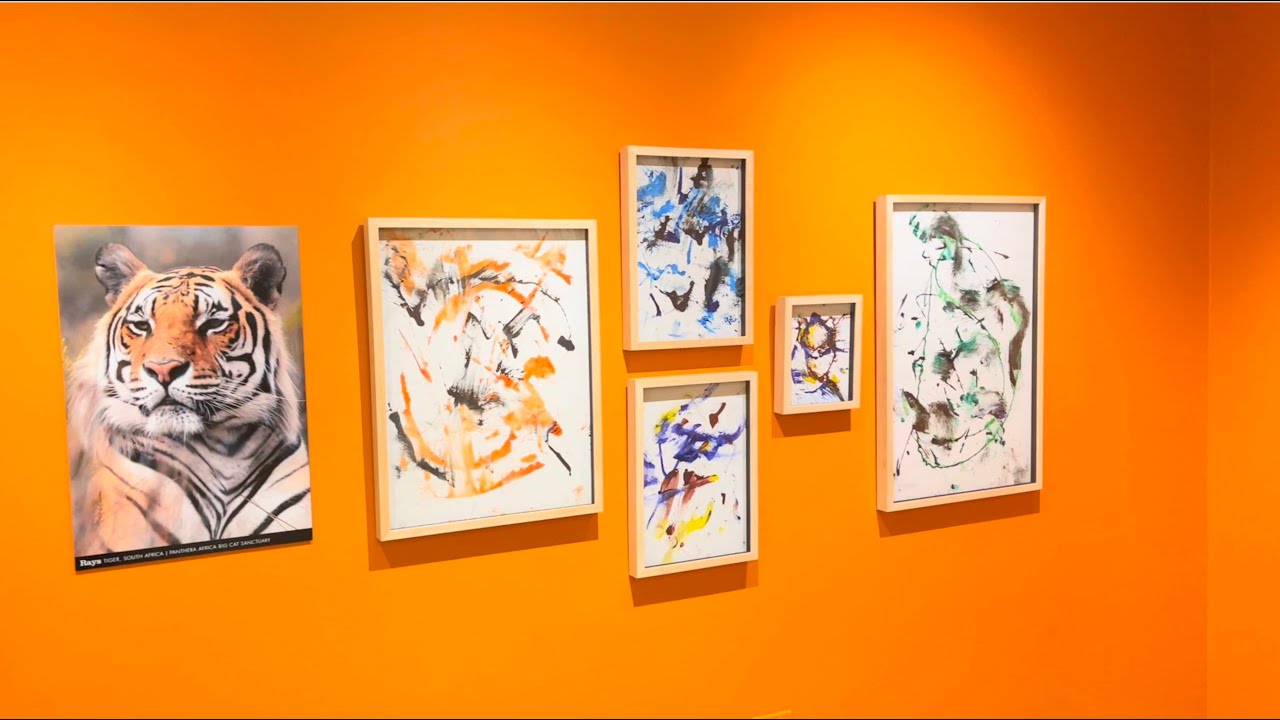 Saving Animals Through Art: The Story of Creative Conservation