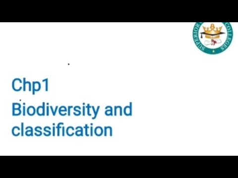 Biodiversity and Classification | Three Domain System of Classification | Domain Archea