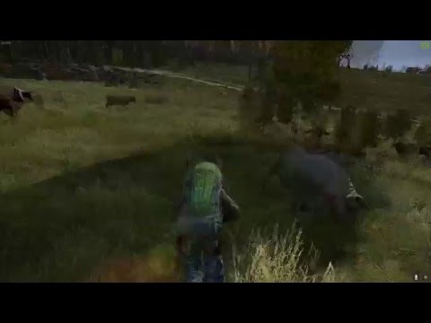 Steam Community :: Video :: DayZ - United Animals of Chernarus