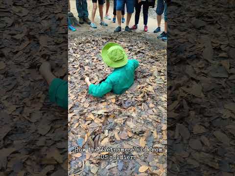 Clever hiding place in Vietnam - Củ Chi Tunnels