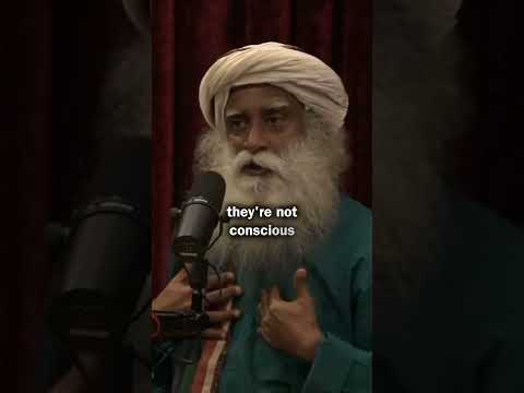 Sadhguru - How To Be a Good Person!